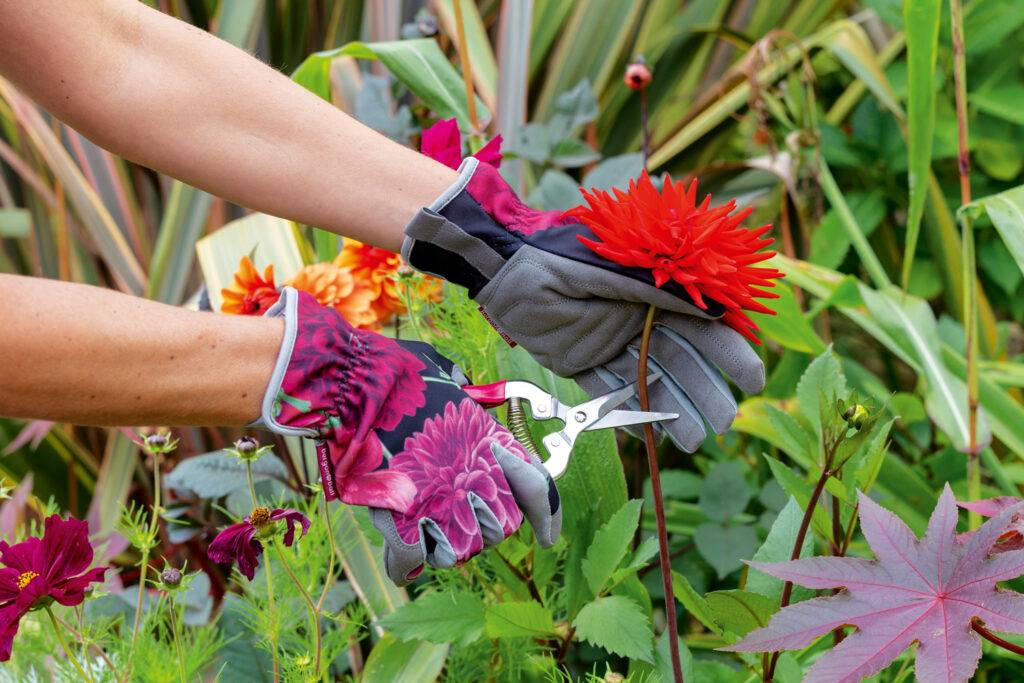 Services | Greenscape Landscape